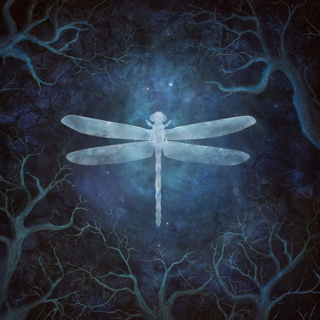 Discography – Amethystium